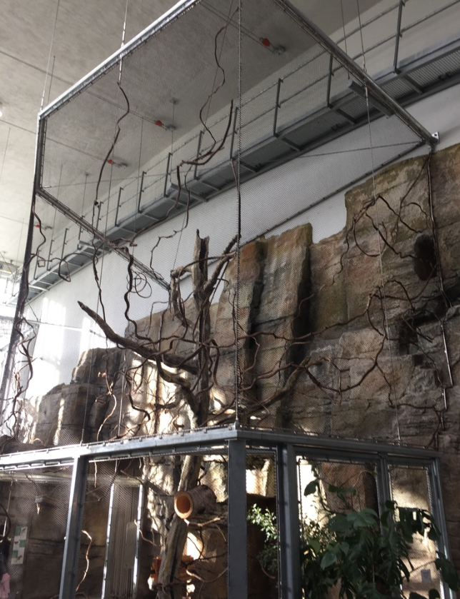 Inox Kotted Zoo Animal Enclosure Flexible Netting Customized Size For Tiger