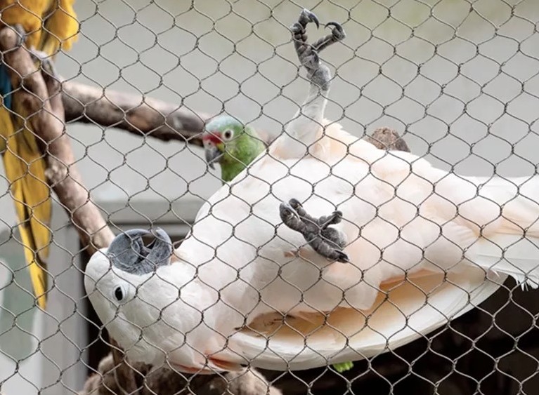 2.0mm Aviary Mesh Netting Stainless Steel Wire Mesh For Bird Cages